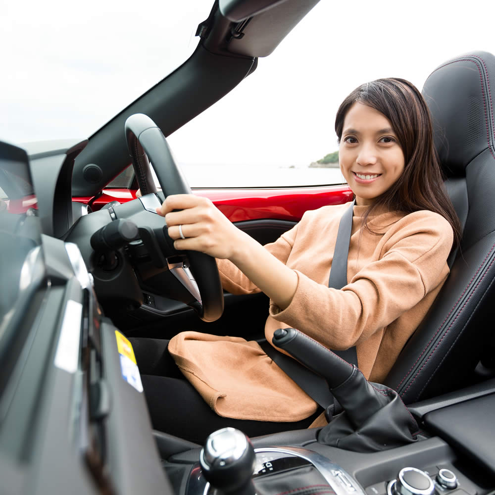 Streetwise Driving School and Instructor Training London